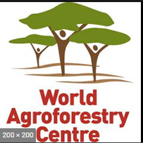 CENTRE INTERNATIONAL POUR LA RECHERCHE EN AGROFORESTERIE | Biodiversité de Côte d'Ivoire